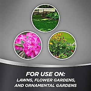 Amdro Kills Ants &amp; Spiders Granules Shaker Bag 3lb