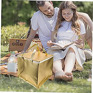 ULTECHNOVO Insulation Bags Heavy Duty Backpack Heavy Duty Totes Cooler Back Pack Coolers Insulated Grocery Bag Grocery Delivery Bag Multi-function Food Bag Handle Design Food Bag Takeaway Bag