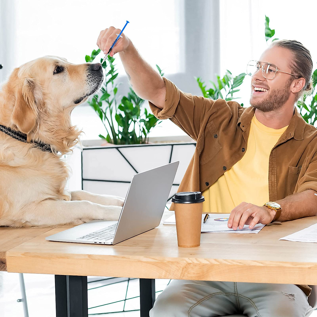 Nuanchu 15 Pieces 1 ml Plastic Syringes with Measurement Multiple Uses Tools for Measuring Liquids, Watering, Feeding Pets, Oil or Glue Applicator