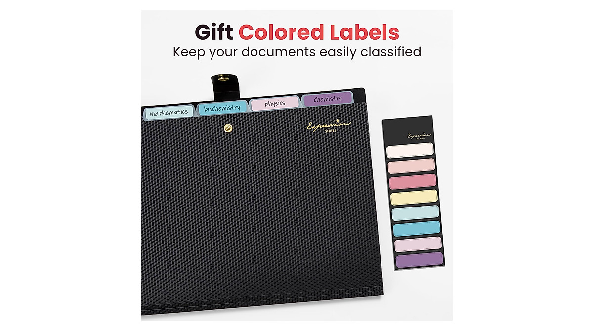 Sooez 4 Pack Expanding Filer Folders | Durable Office & School Organizer