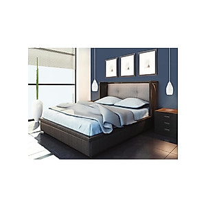 Westinghouse Lighting White 7028600 Single-Light Mini-Pendant Kit Finish