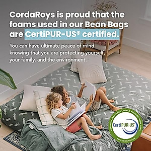 CordaRoy's Chenille Bean Bag Chair, Convertible Chair Folds from Bean Bag to Lounger, As Seen on Shark Tank, Espresso - Full Size