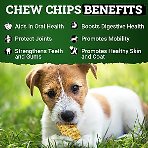 CHEWSAFE Dog Chew Flip Chips Chicken Flavor for Dogs, Pet Chew Treats Satisfy Dogs Natural Desire to Chew, Highly Digestible Snacks Promote Healthy Teeth and Gums, Alternative to Rawhide, 8ct,4” Chips