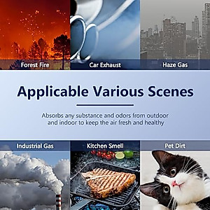 Funmit Core P350 Pet Care Replacement Filter for LEVOIT Core P350 Air Purifier, 3-in-1 New Fine Non-Woven Fabric Pre, H13 True HEPA, Activated Carbon Filter with ARC Formula, Core P350-RF, 2 Pack
