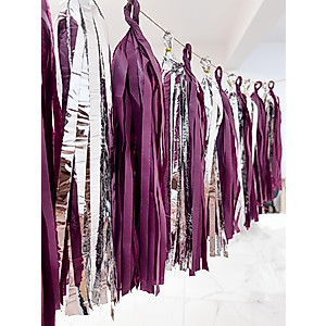 Daihellenstone 20 PCS DIY Tissue Tassel Garland Kit Kraft Burgundy Silver Party Streamers Bunting Banner Backdrop for Wedding Party Bridal Shower Centerpieces Table Decorations