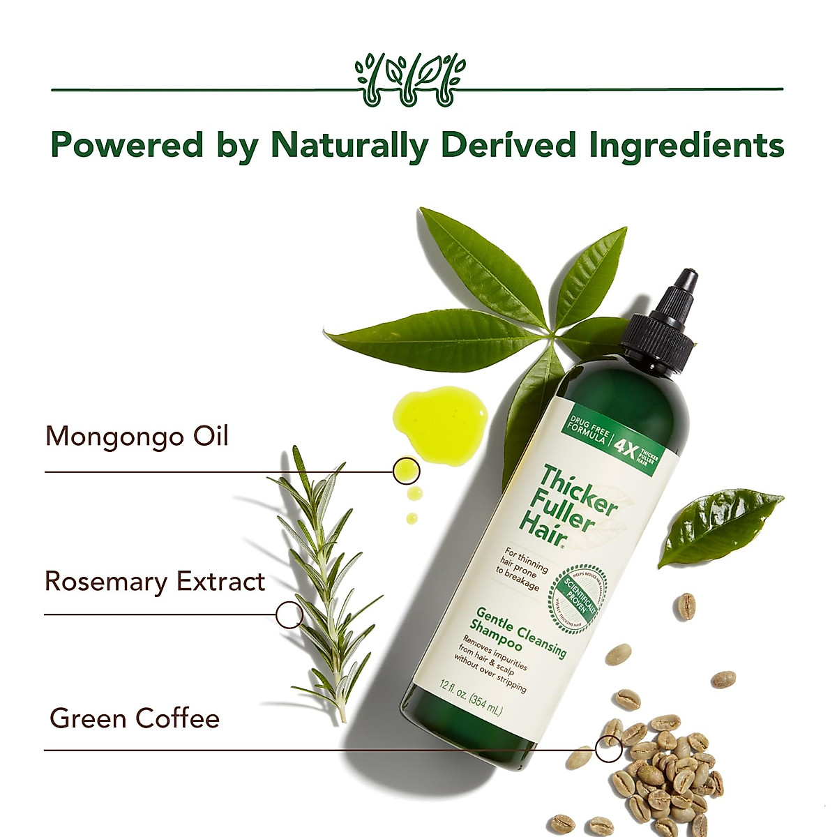 Thicker Fuller Hair Gentle Cleansing Shampoo - Hair Thickening, Clarifying Shampoo - Lightweight, Gentle Shampoo Formula - Natural Ingredients - 12 oz