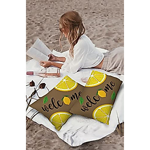 ALAGEO Outdoor Waterproof Pillow Covers for Patio Furniture Summer Fruit Lemon Decorative Throw Pillow Cover Plant Green Leaves Brown Pillowcases Set of 2 Cushion Case for Sofa Couch Chair 20x12 in