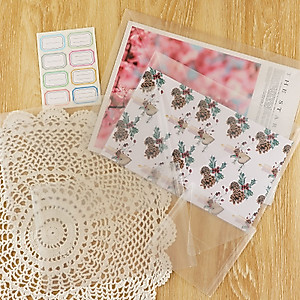 BAOFALI 20 Pieces Clear Die & Stamp Plastic Storage Bag, Resealable Large Envelope Pocket for DIY Scrapbooking Paper Card Craft Making and Cutting Dies Stencil (4.75"x4.75";4.5"x9.5")