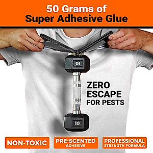 PESTQUEST 12 Pack Glue Mouse Traps Indoor for Home, Large Glue Traps for Mice and Rats, Pre-Baited Peanut Scent Sticky Rat Traps for Inside House, Snake, Lizard, Insect & Spiders, Pet & Family Safe