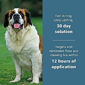 Amazon Basics Flea, Tick & Mosquito Topical Treatment for X-Large Dogs (over 55 pounds), 6 Count (Previously Solimo)