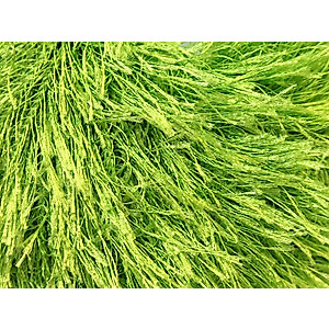 Lime Green Eyelash Yarn, 50 Grams (1.75 Ounces) 70 Meters (76 Yards) Polyester