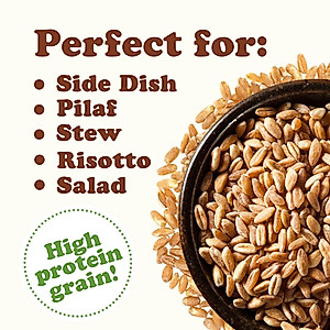 Food to Live Pearled Farro Grain, 1 Pound – Kosher, Vegan, Whole Grain in Bulk, Good Source of Dietary Fiber, Protein and Iron