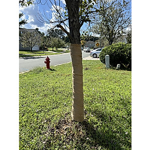 8 inch wide by 60 feet long tight weaved burlap tree plants wrap for protection ribbon | high density finished edges country style indoor outdoor table runner