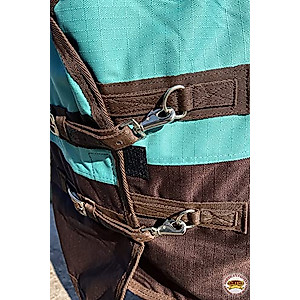 HILASON 1200D Turnout Light Winter Waterproof Rain Sheet Horse Sheet | Horse Sheet | Horse Turnout Sheet | Horse Sheets for Winter | Waterproof Turnout Sheets for Horses