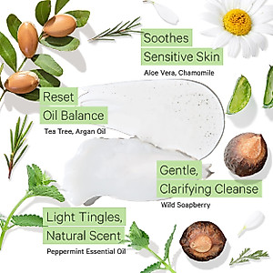 Tree to Tub Sulfate Free Shampoo and Conditioner Set for Oily Hair, Sensitive Scalp & Peppermint Body Wash for Sensitive Skin Dry Skin - pH Balanced Moisturizing Body Wash Shampoo and Conditioner