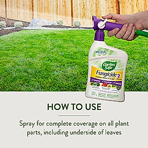Garden Safe Brand Fungicide3 Concentrate, Ready-to-Spray, 28-Ounce, 6-Pack