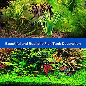 BKDMZZMY Fish Tank Plants, Small Artificial Aquarium Plants with Extendable Fish Net Fake Aquatic Plants Accessories Fish Tank Decorations, Realistic Plastic Aquarium Plants Safe for Fish (8+1PCS)