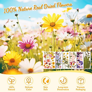 6 Sheets Dried Pressed Flowers for Crafts, Real Dried Florals and Leaves for Scrapbooking Resin Jewelry Molds Candle Soap Making Nail Art Makeup