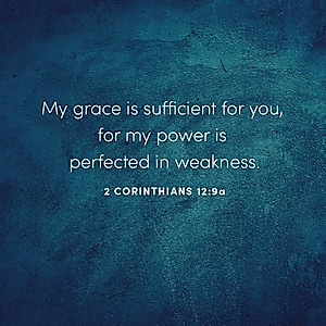 Gideon: Your Weakness. God's Strength. Bible Study Book