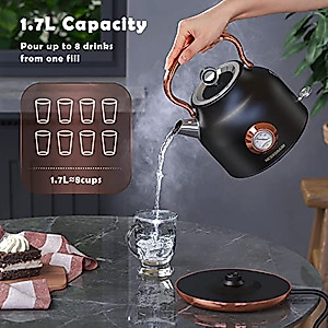 NESSGRAIM Retro Electric Kettle, 1.7L Stainless Steel Tea Kettle with Large Temperature Gauge, 1500W Fast Heating Hot Water Boiler with LED Indicator, Auto Shut-off & Boil-Dry Protection-Reteo Black