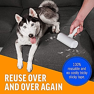 PETGAM - Pet Hair Remover, pet Hair Roller, cat and Dog Hair Remover for Sofa, Furniture, Carpet, car seat, Reusable pet Hair Roller with self-Cleaning Base, Improved Animal Skin Removal Tool
