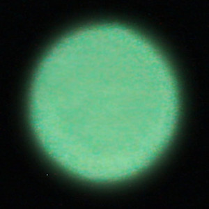 S.E.I Glow in The Dark Tie Dye Spray Bottle, 2- Ounces, Fabric Spray Dye