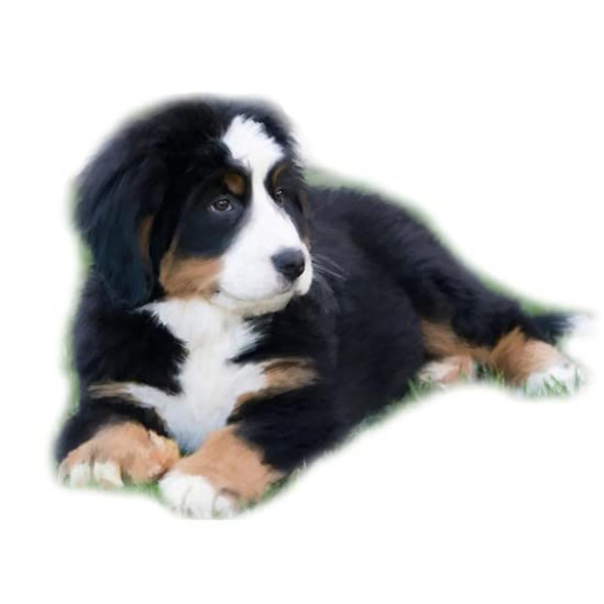 CafePress Bernese Mountain Puppy_ Mug Ceramic Coffee Mug, Tea Cup 11 oz