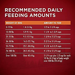 Purina ONE True Instinct High Protein Formula with Real Beef and Salmon Dry Dog Food - 15 lb. Bag