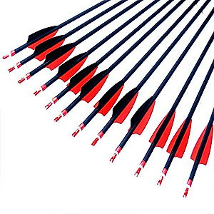 COLORFUL EAGLE 12pcs/lot Carbon Arrow Outdoor Hunting Bows Arrows for Recurve Compound Bow Archery Hunting Target Parctice Accessories (30)