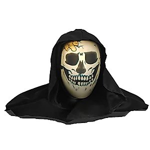 ANIMAT3D Mindscope The Hauntley's Talking Animated Haunted Head with Built in Projector & Speaker Plug'n Play