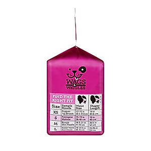 Wags & Wiggles Female Dog Diapers | Doggie Diapers for Female Dogs | Small Dog Diapers, 15"-19" Waist - 12 Pack | Disposable Dog Diapers for Female Dogs