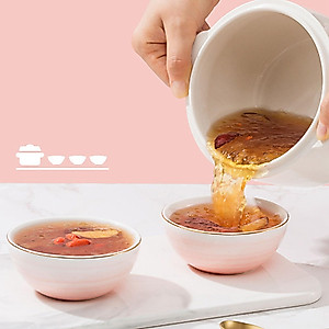 1L Ceramic Electric Stew Pot, 200W Cooker, Electric Cooking Pot for Porridge Rice Soup (US Plug 110V)