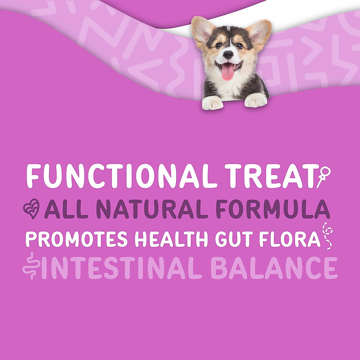 waggedy Advanced Probiotics Gut & Digestion Food Topper — Digestive Enzymes w/Papaya — Probiotic Powder — Dog Supplement Powder — Products for Dogs Over 6 Weeks (114g)