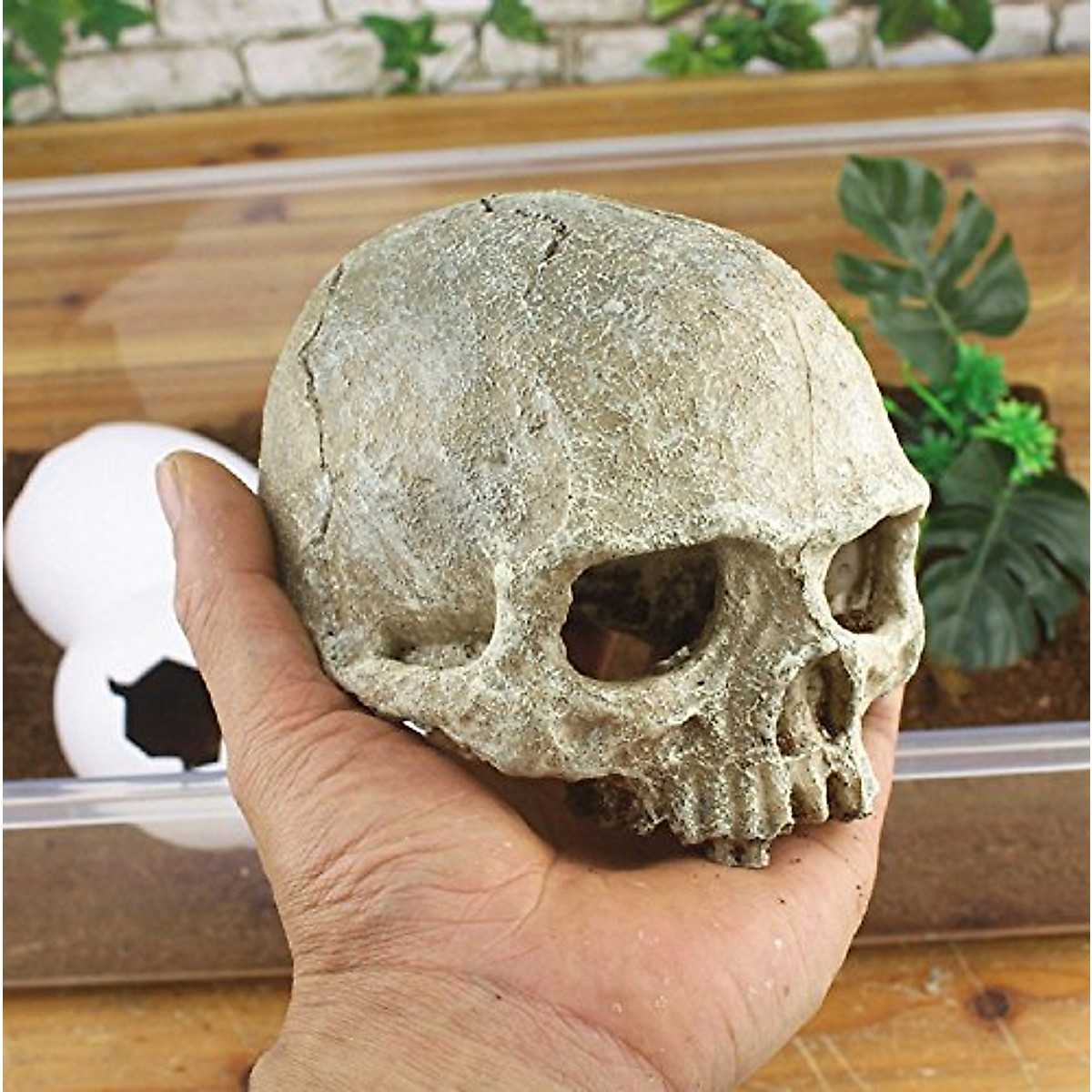 Hewnda Aquarium Decor Resin Artificial Head Skeleton Decoration - Aquarium Otaru Aquarium Decorative Cave Landscape Pet Reptile House