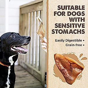 Mighty Paw Half Pig Ears for Dogs | All Natural Dog Treats. Single Ingredient Pig Ear Dog Treats. Better Than Rawhide Dog Snacks for Puppy and Large/Medium Dogs. Pigs Ears Dog Chews, Dog Pig Ears
