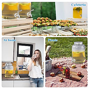 Berglander Glass Drink Dispenser for Fridge, 1 Gallon Beverage Dispenser with Leakproof Stainless Steel Spigot, Water, Laundry Detergent, Juice Dispenser for BBQ, Picnic, Parties and Events (Clear)