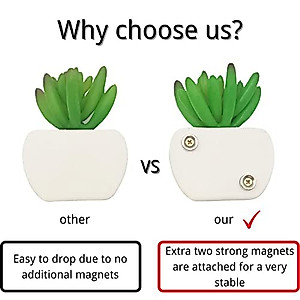 Fridge Magnet Plant Magnets Succulent Magnets Artificial Plants Refrigerator Magnets Fake Succulents Whiteboard Magnet Strong Magnetic Fridge Decoration Magnet for Home Kitchen Decoration (A)