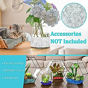 1.5 LB Glass Gravel Stone 3-6 mm Glitter Gravel Stone Luster Reflective Tempered Fire Glass Crushed Glass for Fire Pit Crafts Vase Fish Bowl Garden Decor (Transparent)