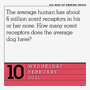 365 Days of Amazing Trivia! Page-A-Day Calendar 2021