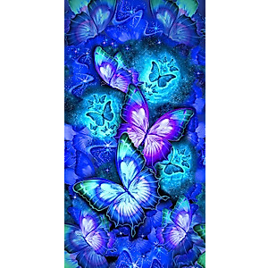 Timeless Treasures Cosmic Butterfly Cotton Fabric Panel 24" x 43"