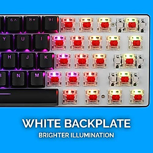 Whirlwind FX Atom 60% Gaming Keyboard: Interactive and Customizable Lighting – Immersive, Reactive RGB Experience (Brown Tactile)