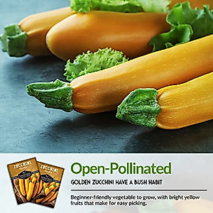 Survival Garden Seeds - Golden Zucchini Seeds for Planting - Packet with Instructions to Plant and Grow Yellow Zucchini Vegetables in Your Home Vegetable Garden - Non-GMO Heirloom Variety
