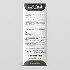 Window Fly Traps – 12 Pack | Transparent Sticky Fly Trap for Windows | Discrete, Extra Large Insect Glue Trap and Indoor Bug Catcher for House Flies and Other Flying Insects