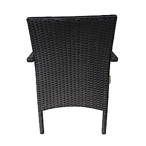 Christopher Knight Home 305809 Otto Outdoor Wicker Club Chair, Brown and Tan(Set of 2)