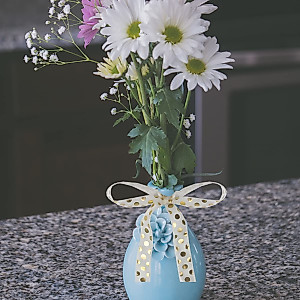 Nichemigo 1 Inch Wide Polka Dot Ribbon, Gold Dots Printed Organza Ribbons for Gift Wrapping Hair Bows Craft Sewing Invitation Floral Arrangement (11 Yards)