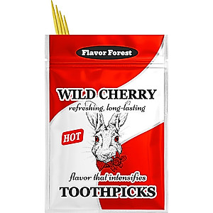 Wild Cherry Flavored Cinnamon Toothpicks - 100ct