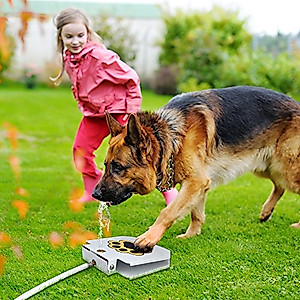 Dog Outdoor Dog Drinking Water Fountain Step On, Easy Paw Activated Drinking Pet Dispenser, Provides Fresh Water, Sturdy, Easy to Use by Trio Gato
