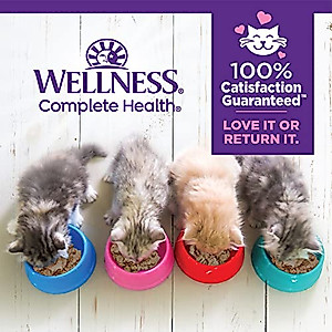 Wellness Complete Health Grain-Free Chicken Entrée Wet Kitten Food - Natural Ingredients with Real Chicken, Brain Development DHA, Essential Fatty Acids and Eye Health Taurine, 3 oz cans (Pack of 24)