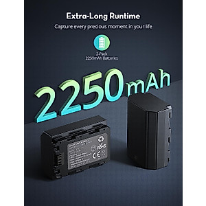 NP-FZ100 Camera Battery, 2-Pack 2250 mAh Replacement Battery Charger Set Compatible for Sony A7iii, A7R V, Alpha A7C,A7R III, A7R IV, A9/A9S, A7R3 A7S III, A7R III,Alpha 9/9S, Type C & Micro Ports