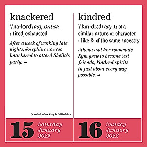 365 New Words-A-Year Page-A-Day Calendar 2022: For Students, Writers, Crossword Fanatics and Lovers of Language